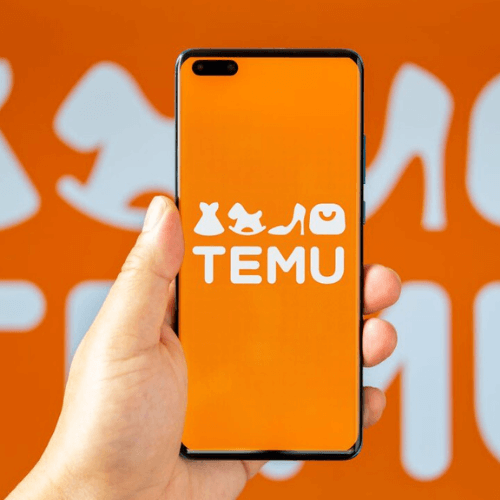 Shopping with a Side of Surveillance: Temu Faces Data Privacy Lawsuit